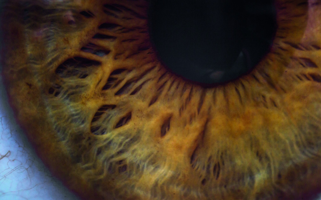 De gemeente Oss gebruikte data uit de Gemeentezorgspiegel als input ...