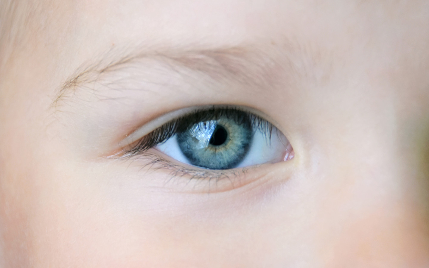 Inzichten in en over de eerstelijnszorg | Vektis.nl